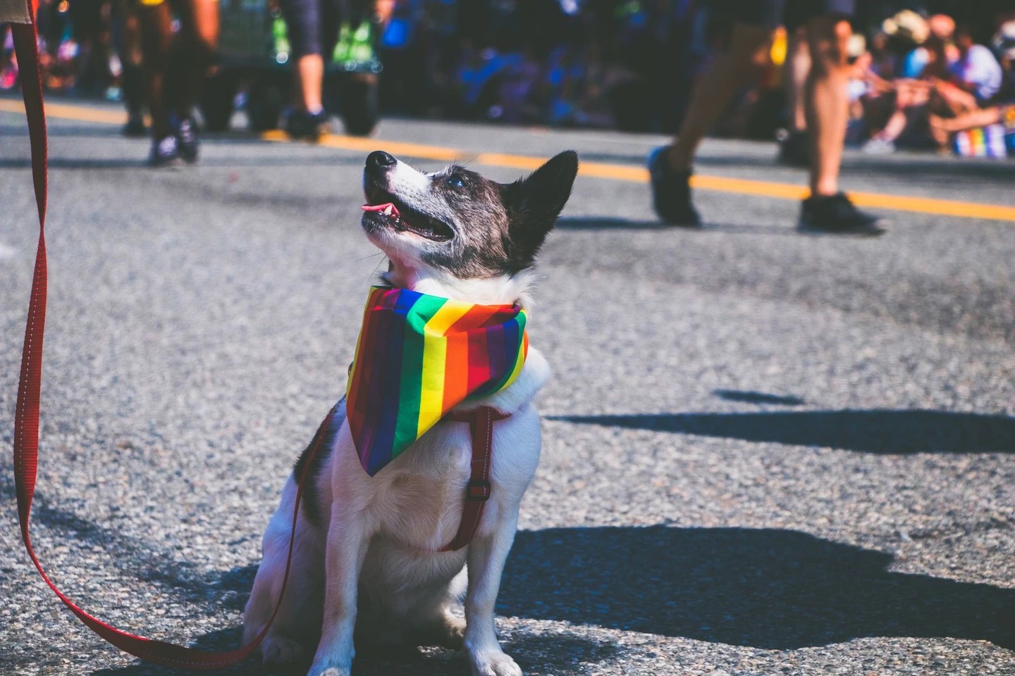 Pittsburgh Pride Parade Celebrates Resilience and Community Downtown ...