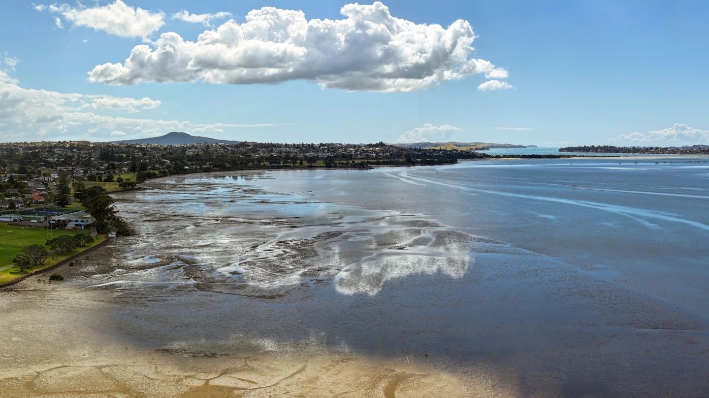 Auckland Faultline Discovery Reveals New Earthquake Risks | Mayors & Cities