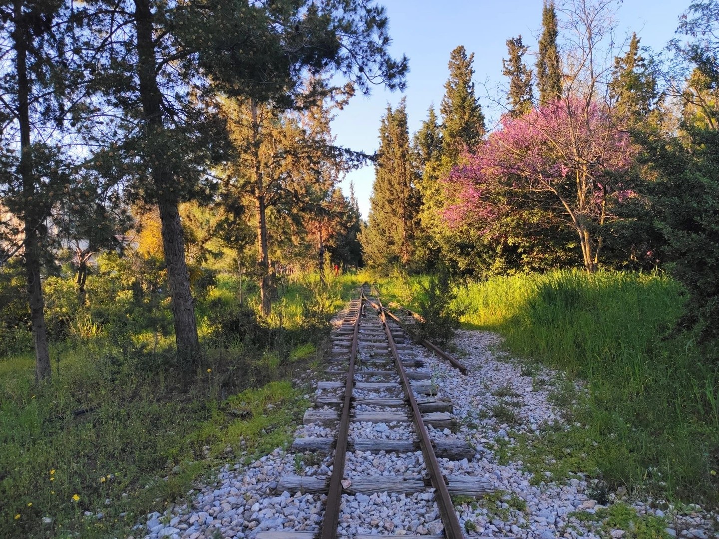 Saudi Arabia and Turkey Collaborate to Revive Historic Rail Line ...