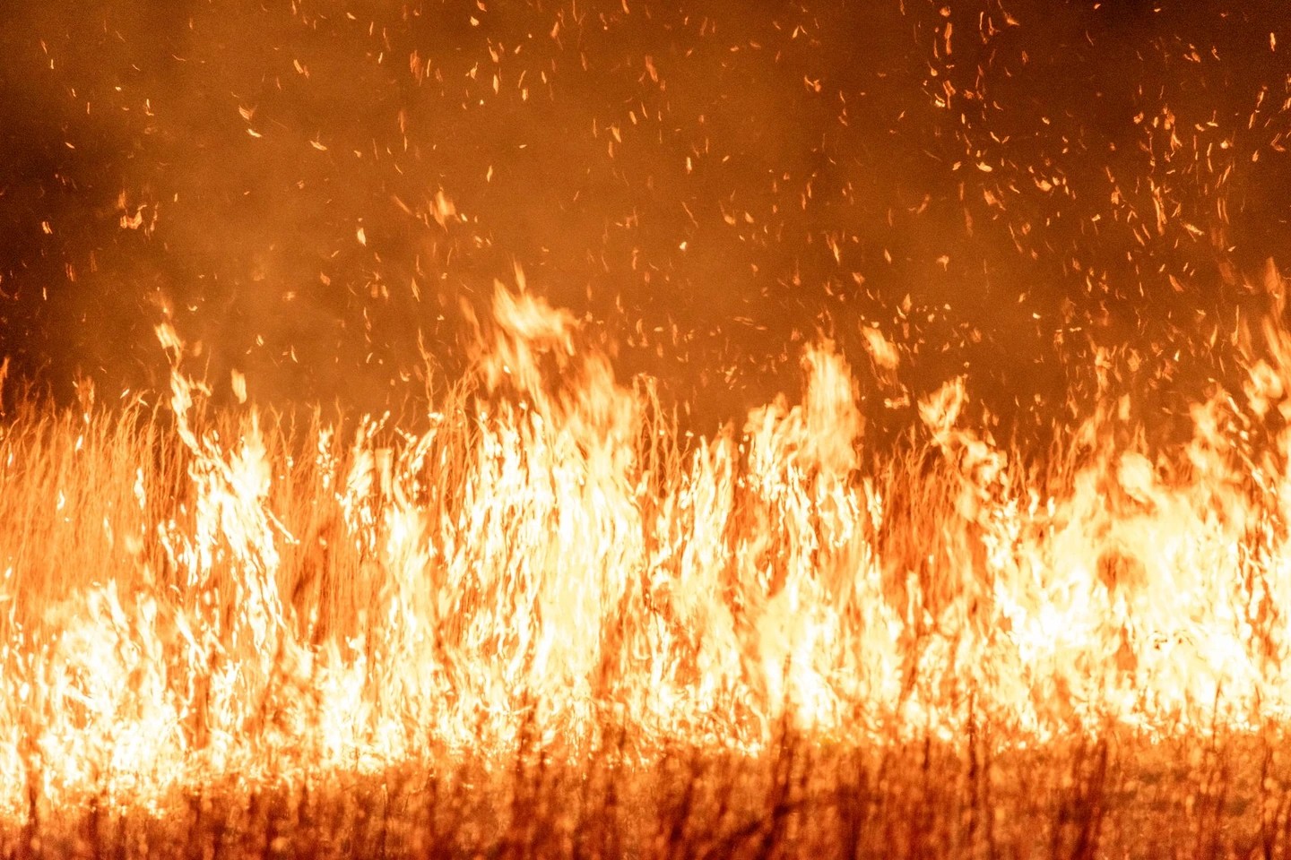 Raging Iron Fire Prompts Evacuations in Central Utah's Eureka | Mayors ...